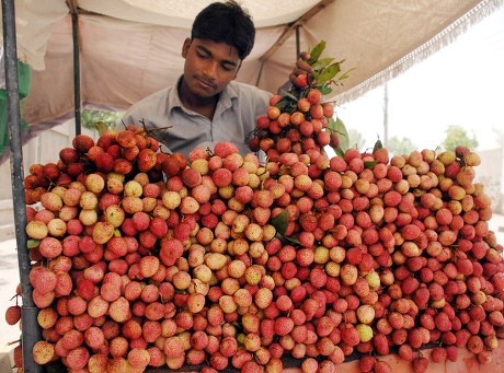 Pakistani Fruit Vendor Waits Customers He Editorial Stock Photo - Stock ...