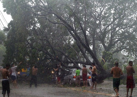 Filipino Residents Clip Off Branches Fallen Editorial Stock Photo ...
