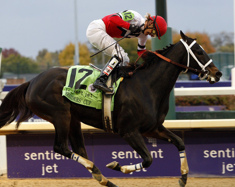 Dubai Majesty Jamie Theriot Crosses Finish Editorial Stock Photo ...