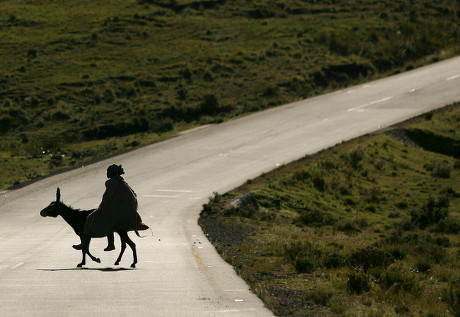 Lesotho Herd Boy Rides His Donkey Editorial Stock Photo - Stock Image ...