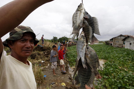 Filipino Shows His Catch Devastated Area Editorial Stock Photo - Stock ...