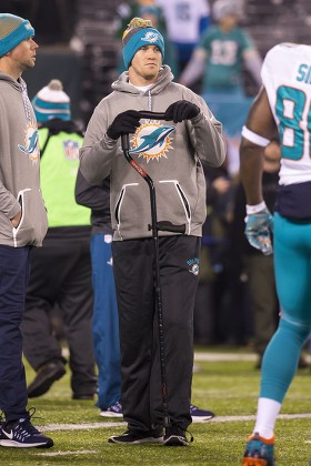 Miami Dolphins Quarterback Ryan Tannehill 17 Editorial Stock Photo ...