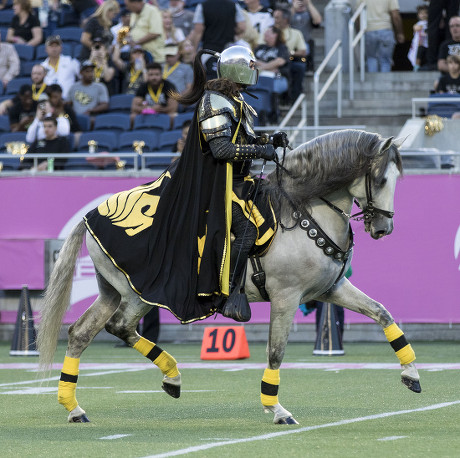 Pegasus Ucf Knight On Field Before Editorial Stock Photo - Stock Image ...