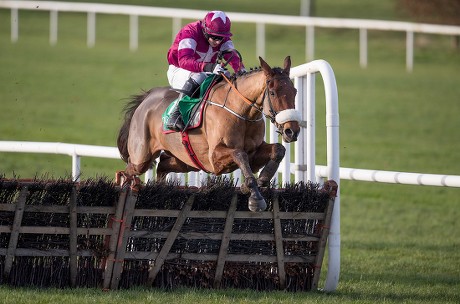 Navan Races, Proudstown, Co. Meath - 18 Dec 2016 Stock Pictures ...