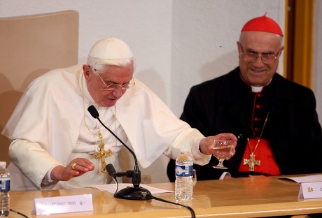 French Cardinal Bertone R Looks On Editorial Stock Photo - Stock Image ...