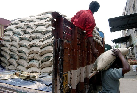 Labourers Unload Truck Filled Rice Bags Editorial Stock Photo - Stock ...