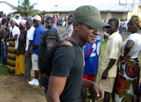 Liberian Man Carrying Monkey Takes His Editorial Stock Photo - Stock ...
