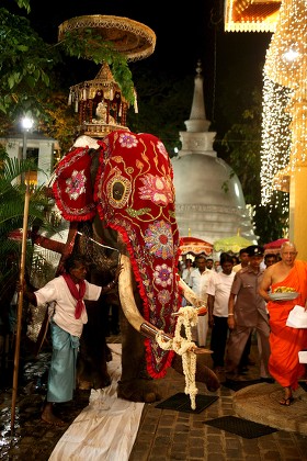 Navam Raja Temple Tusker Carrying Relic Editorial Stock Photo - Stock ...