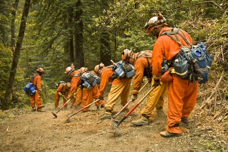 Inmate Fire Crews Clear Brush Along Editorial Stock Photo - Stock Image ...