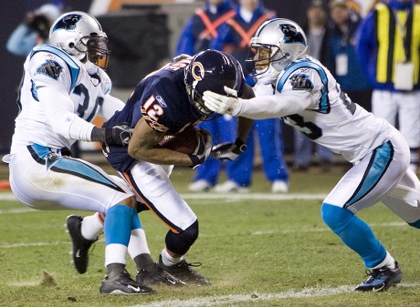 Chicago Bears Wide Receiver Justin Gage Editorial Stock Photo - Stock ...