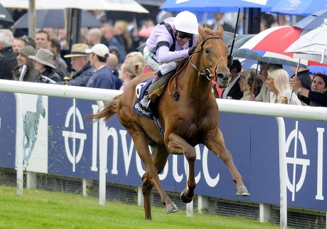 Britian Horse Racing - Jun 2009 Stock Pictures, Editorial Images and ...