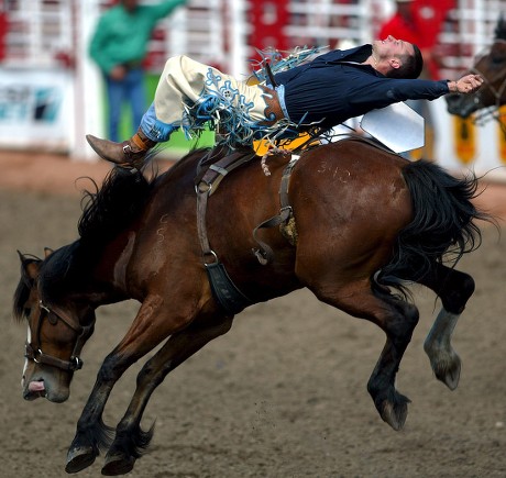 Cowboy Winston Kusler Manyberries Alberta Comes Editorial Stock Photo ...