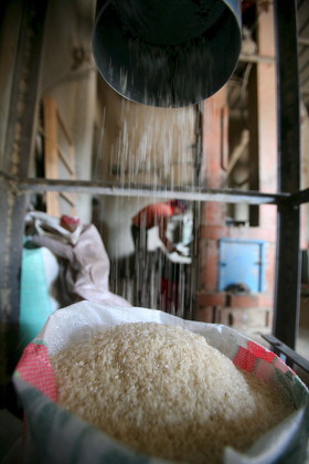 Egyptian Workers Prepare Rice Rice Mill Editorial Stock Photo - Stock ...