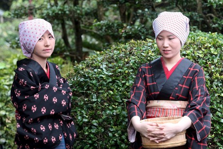 Young Japanese Women Dressed Traditional Farmers Editorial Stock Photo ...