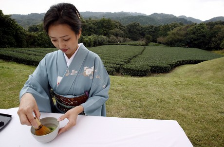 Japanese Tea Master Wearing Traditional Kimono Editorial Stock Photo ...
