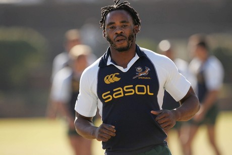 SPRINGBOK FLYHALF JACO VAN DER WESTHUIZEN Editorial Stock Photo - Stock ...