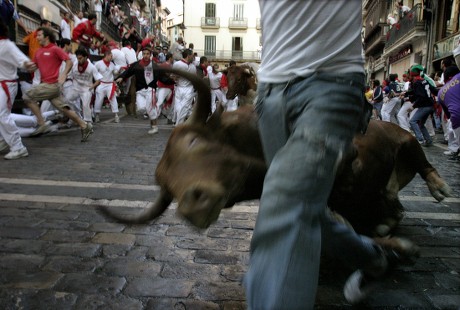 Fighting Bull Begins Slip Fall Runner Editorial Stock Photo - Stock ...