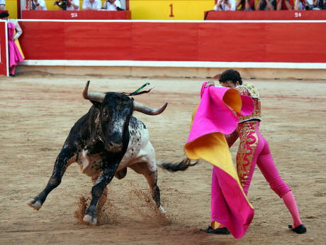 Fighting Bull Miura Ranch Bullfighter Stand Editorial Stock Photo ...