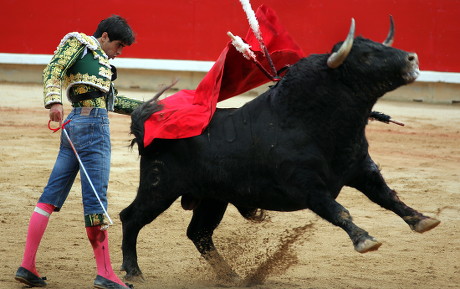 Spanish Bullfighter Migue Angel Perera Wears Editorial Stock Photo ...