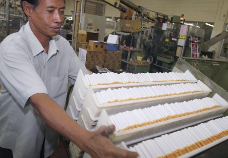 Worker Loads Thai Cigarettes Into Packaging Editorial Stock Photo ...