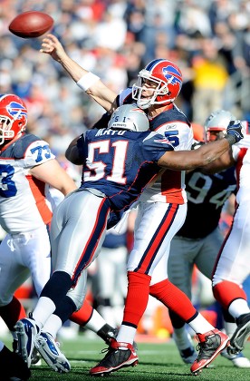 Buffalo Bills Quarterback Trent Edwards R Editorial Stock Photo - Stock ...