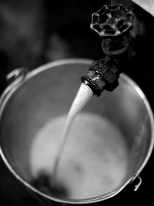 Maple Syrup Flows Tap Final Step Editorial Stock Photo - Stock Image ...