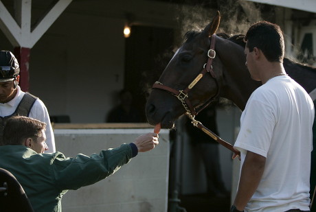 Kentucky Derby Contender Brother Derek After Editorial Stock Photo ...