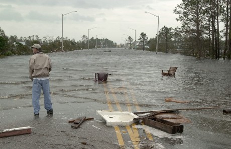 Man Surveys Flooding On Gulf Shores Editorial Stock Photo - Stock Image ...