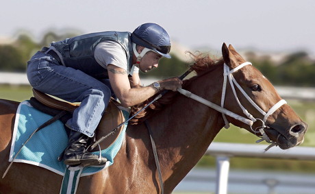 Jockey Joe Bravo New Jersey Returns Editorial Stock Photo - Stock Image ...