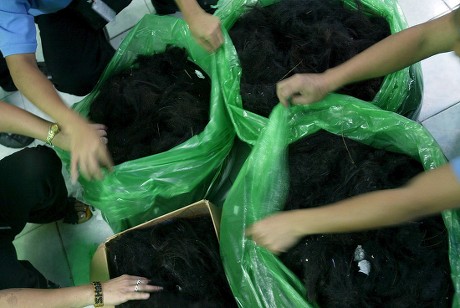 Filipino Hairstylists Gather Hair Their Costumers Editorial Stock Photo ...