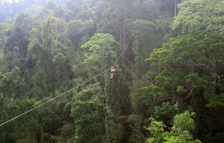 40 Ziplines Stock Pictures, Editorial Images and Stock Photos ...