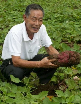 Japanese National Hidekatsu Matsuda 64 Former Editorial Stock Photo ...