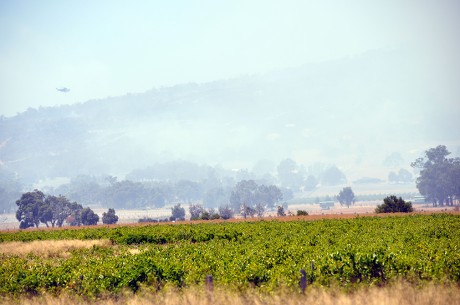 Bushfire Burns Above Vineyards Helicopter Water Editorial Stock Photo ...
