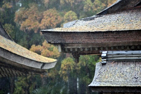 Roof Hongu Grand Shinto Shrine Rain Editorial Stock Photo - Stock Image ...