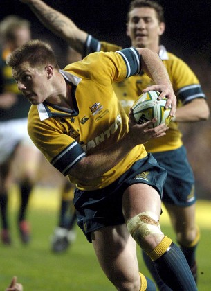 Percy Montgomery Springboks During Tri Nations Editorial Stock Photo ...