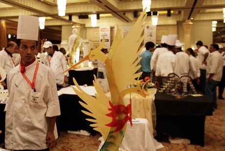 Young Egyptian Chef Looks On He Editorial Stock Photo - Stock Image ...