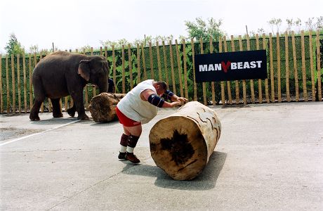 Man Vs Beast Tv Britains Strongest Editorial Stock Photo - Stock Image ...