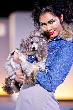 Model Holding Dog Poses Photographers On Editorial Stock Photo - Stock ...