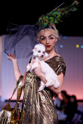 Model Holding Dog Poses Photographers On Editorial Stock Photo - Stock ...