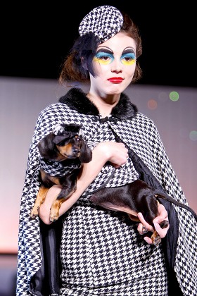 Model Holding Dog Poses Photographers On Editorial Stock Photo - Stock ...