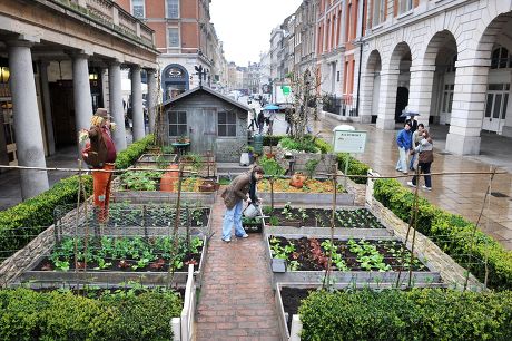 Launch Spring Renaissance Covent Garden Editorial Stock Photo - Stock ...