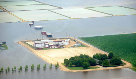 Catfish Farming Operation Processing Plant Homes Editorial Stock Photo ...