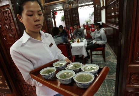 Vietnamese Waitress Serves Snake Soup Customers Editorial Stock Photo ...