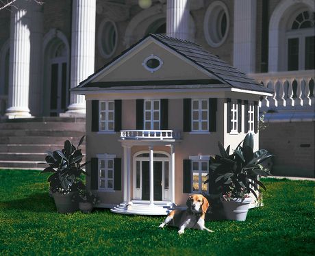 Brick Dog House Night Editorial Stock Photo - Stock Image | Shutterstock