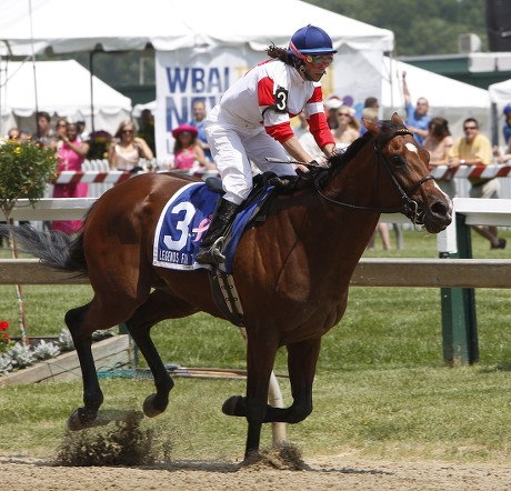 Retired Female Champion Jockey Gwen J Editorial Stock Photo - Stock ...