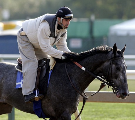 Tim Ritchey Trainer Afleet Alex Barn Editorial Stock Photo - Stock ...