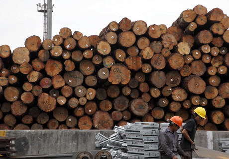 3 Timber growing and logging Stock Pictures, Editorial Images and Stock ...