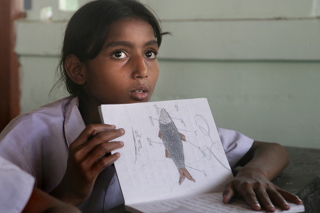 Indian Student Kakuli Naskar Seen Classroom Editorial Stock Photo - Stock Image | Shutterstock