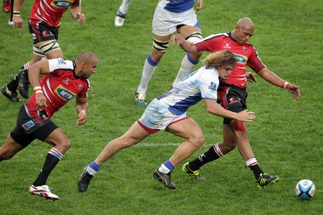 Waylon Murray R Lions South Africa Editorial Stock Photo - Stock Image ...