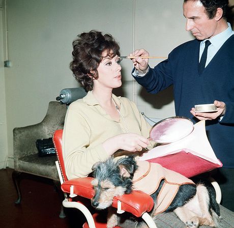 Baron Tv 1966 Sue Lloyd Editorial Stock Photo - Stock Image | Shutterstock